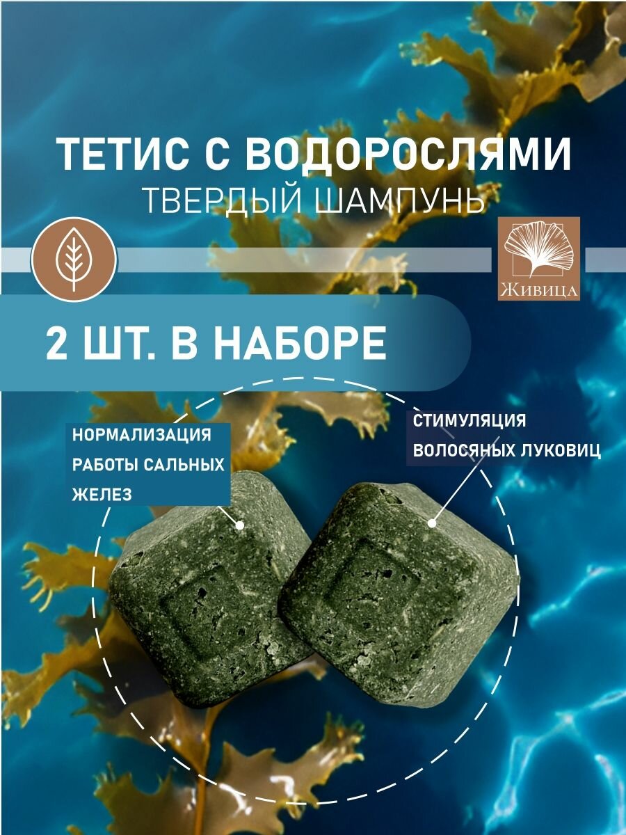Живица, натуральный твердый шампунь Тетис с водорослями, для жирных и быстро пачкающихся волос, 50 гр, Набор 2 шт.
