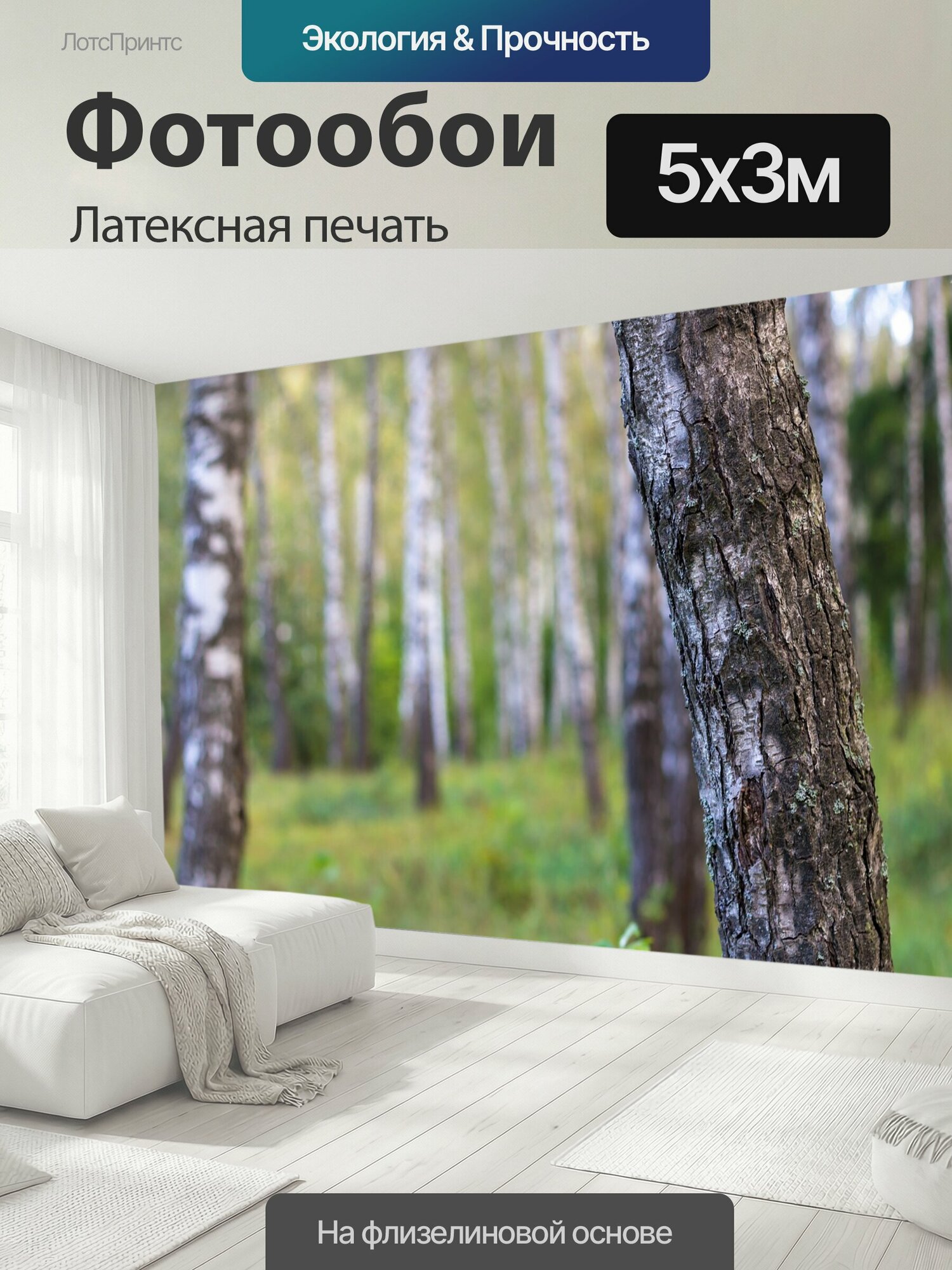 Фотообои моющиеся ударопрочные "Березы, березовая роща, лес" 500x300 см. латексная печать