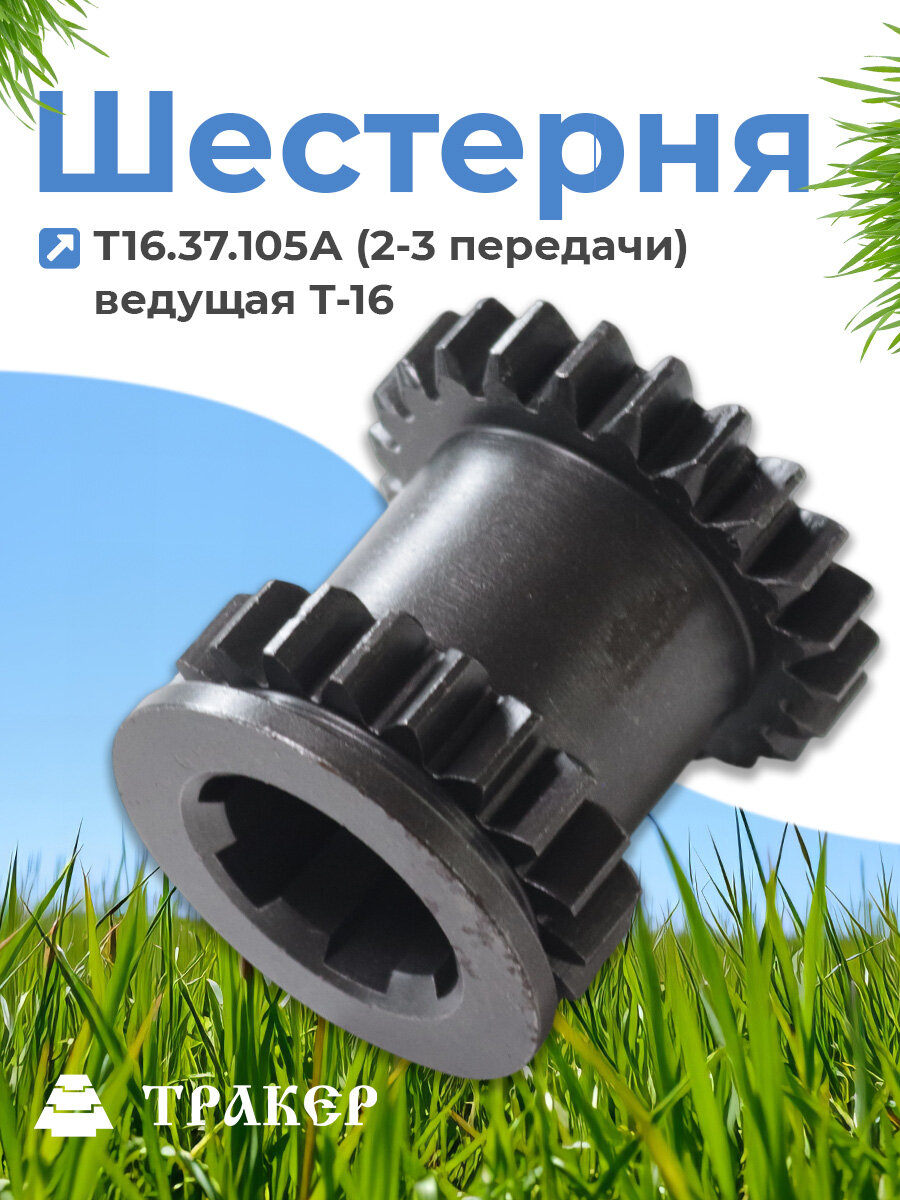 Шестерня Т16.37.105А 2-й и 3-й передачи ведущая (Z-22/Z-19) для Т-16