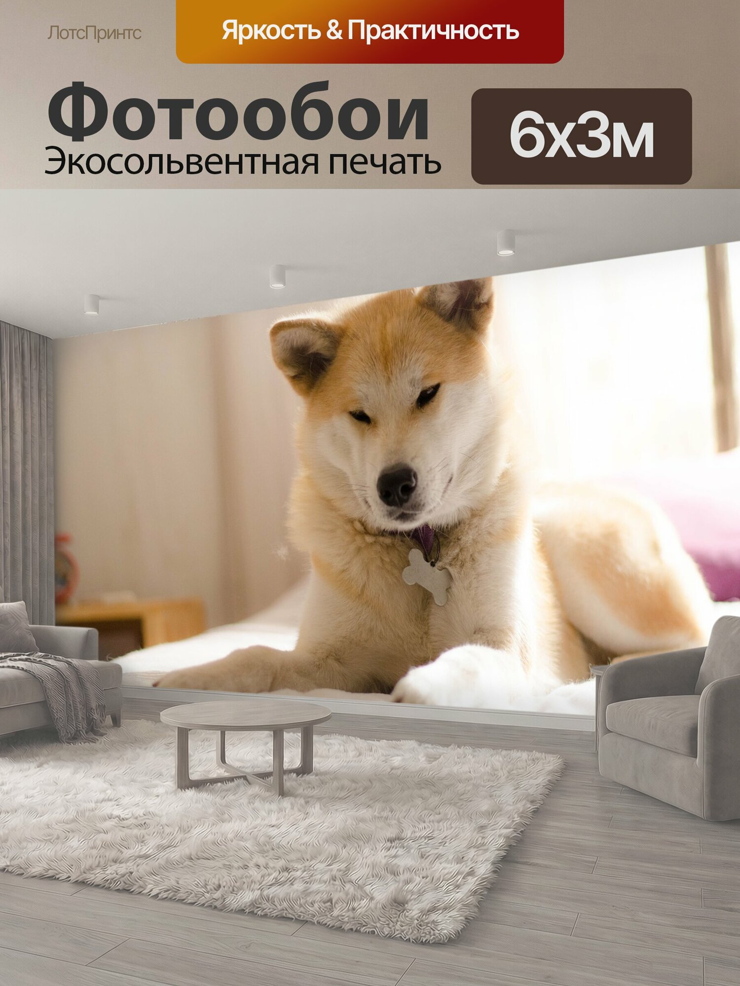 Фотообои "Собака, акита, акита-ину" 600x300 см. экосольвентная печать