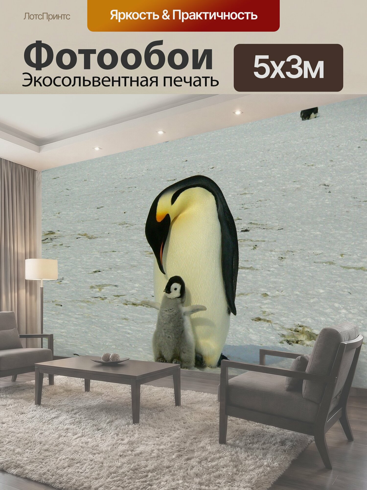 Фотообои "Пингвины, императорские пингвины, детка" 500x300 см. экосольвентная печать