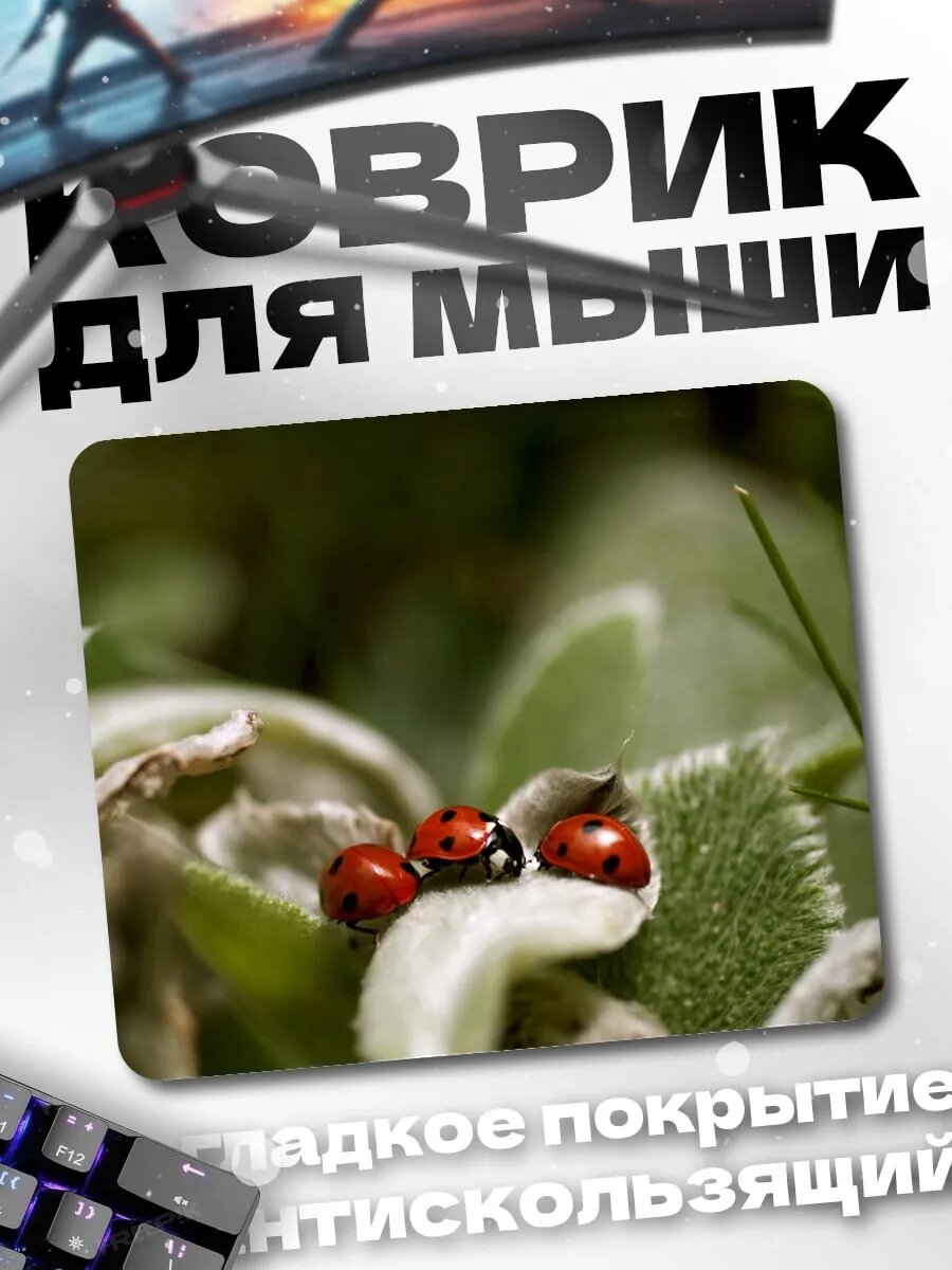 Коврик для мыши Три божьих коровки