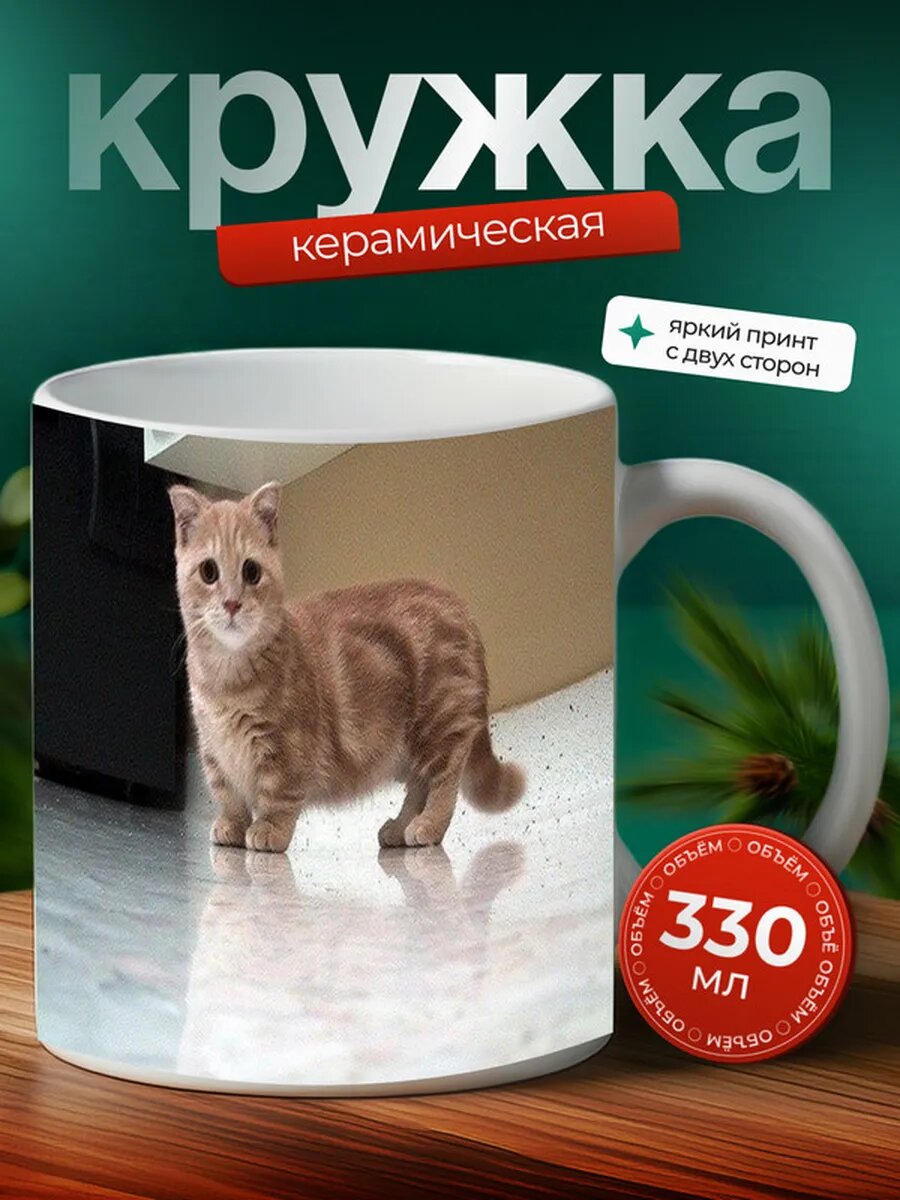 Кружка Манчкин кот 20,
