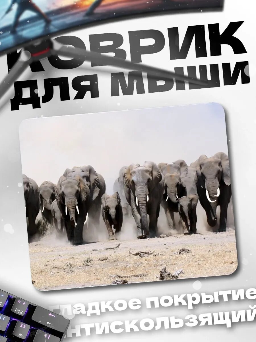 Коврик для мыши стадо слонов