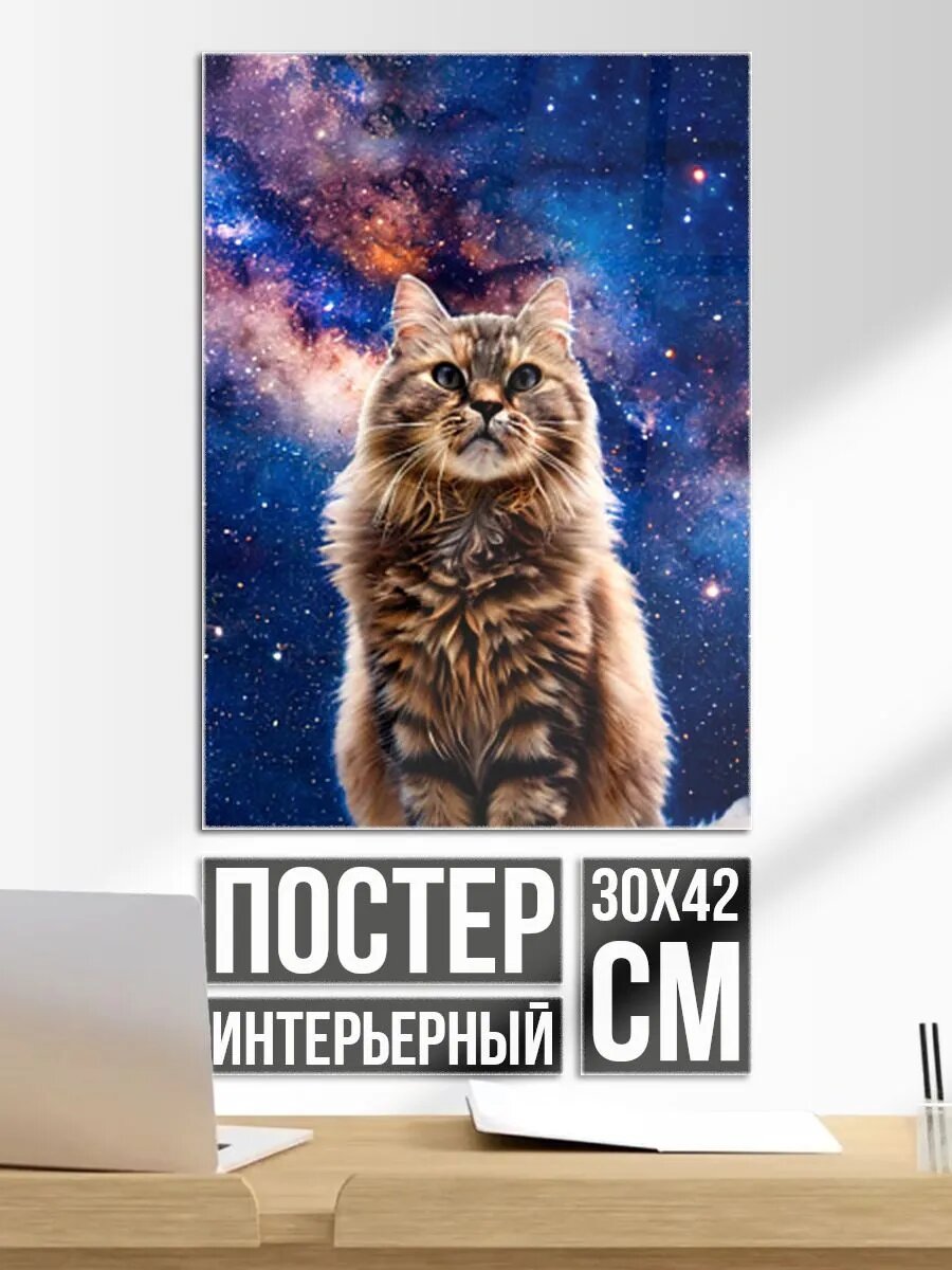 Постер на стену Сибирская кошка в космосе