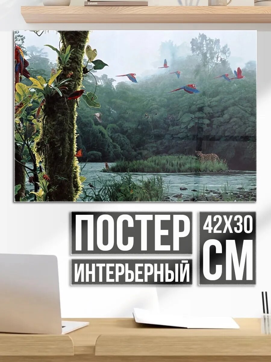 Плакат постер Птицы в джунглях