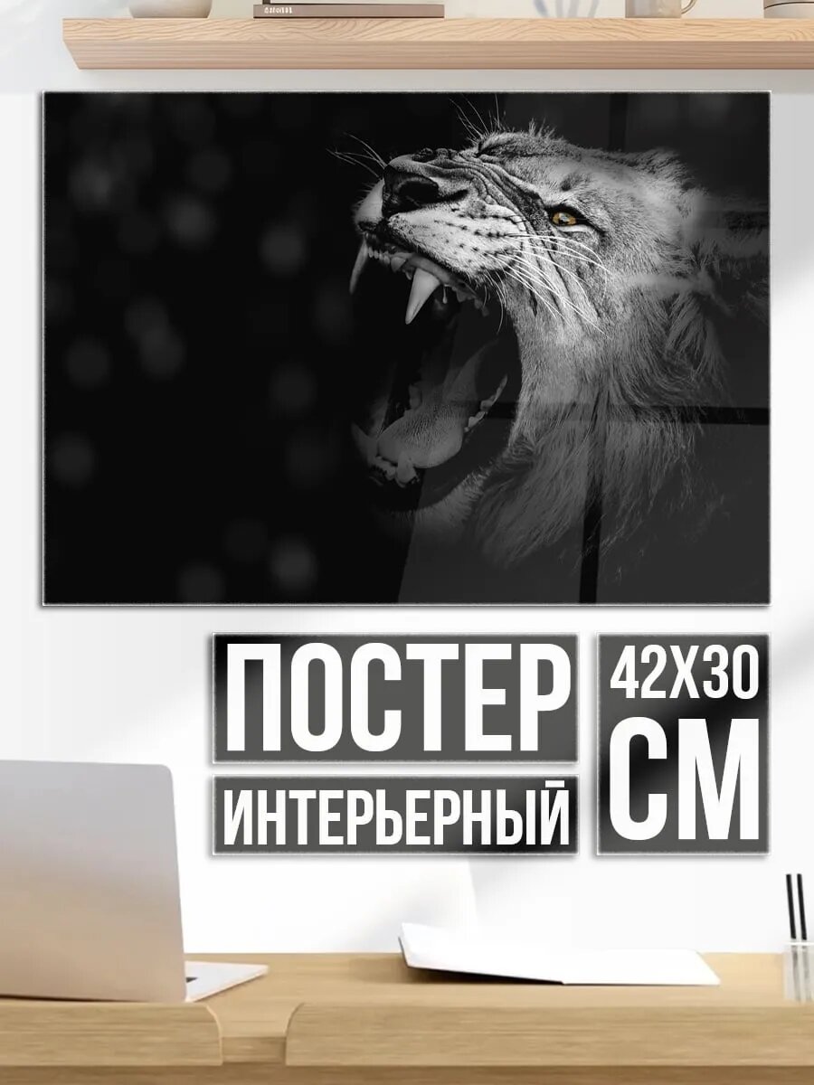 Плакат постер рычащий лев