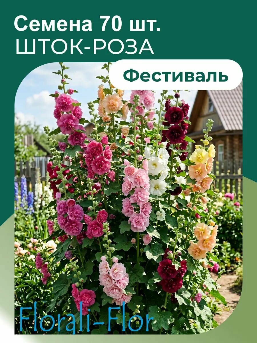 Шток-роза Семена