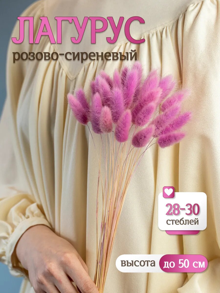 Лагурус розово-сиреневый 30 шт, сухостой для вазы, сухоцветы
