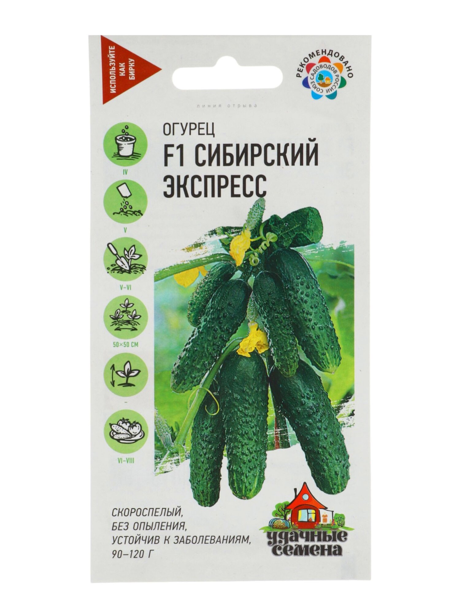 Семена Огурец «Сибирский экспресс», F1, 10 шт, «Гавриш»