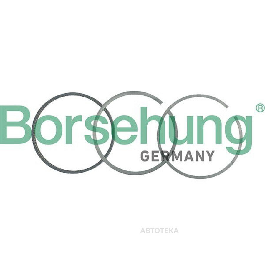 Кольца поршневые комплект VAG BORSEHUNG B19037