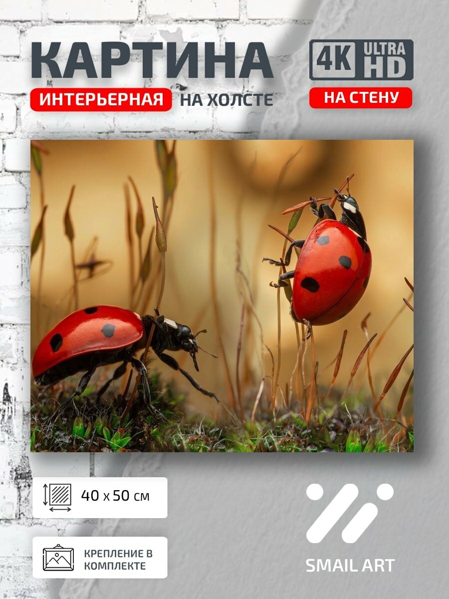 Картина на холсте интерьерная 40 на 50 на стену Божьи коровки для студии атмосфера