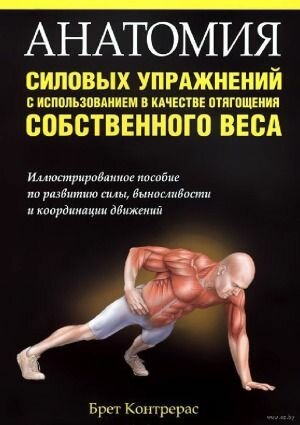 Анатомия силовых упражнений с использованием в качестве отягощения
