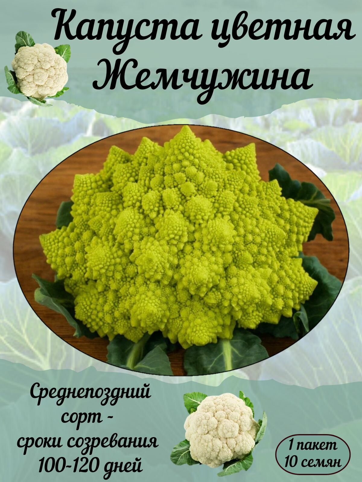 Капуста цветная Жемчужина, 10 шт, 15 гр.