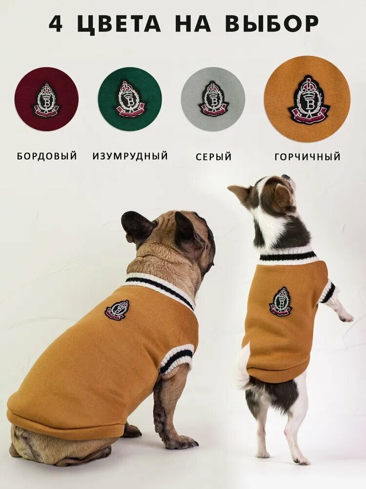 Одежда для животных — фото 1