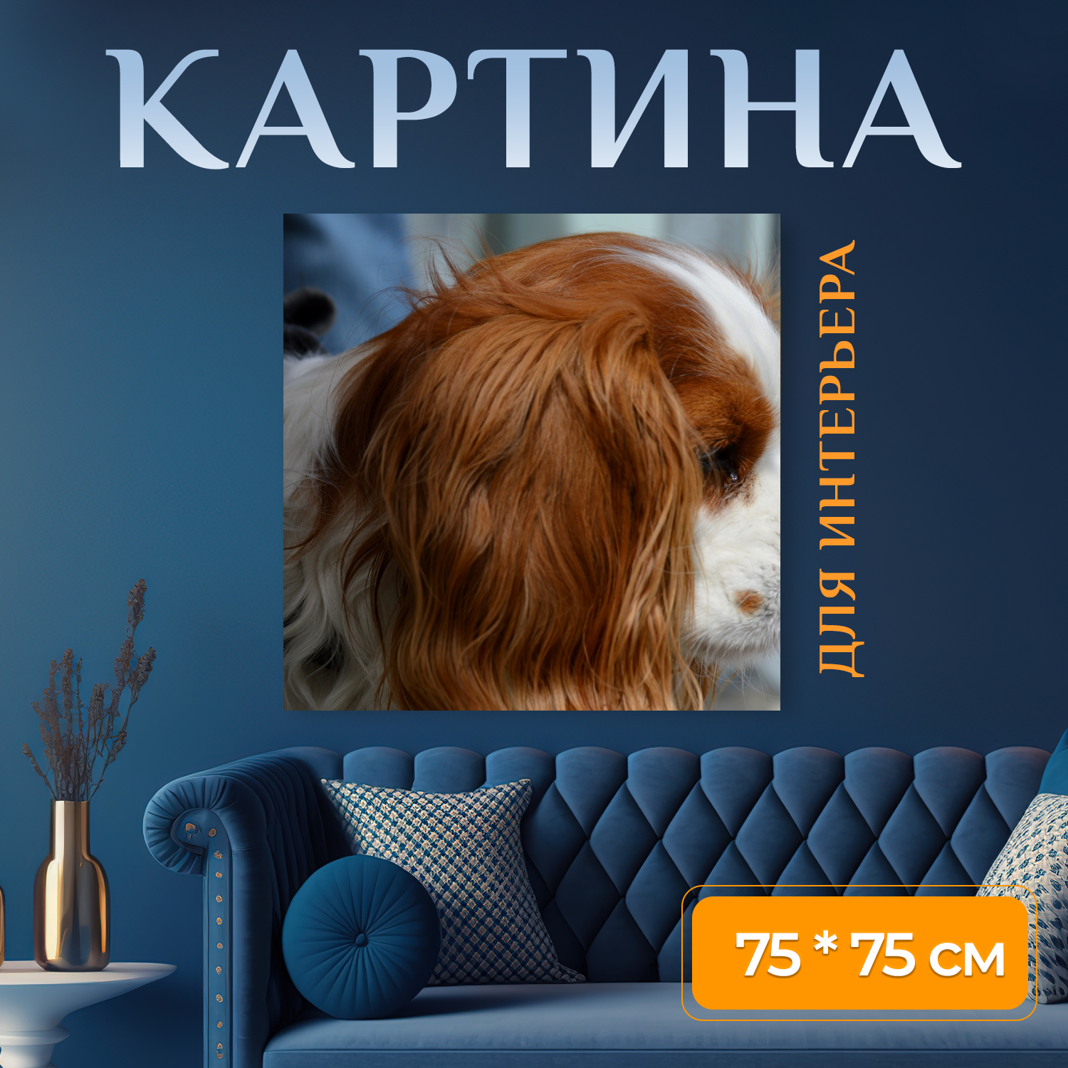Картина на холсте "Собака, кавалер кинг чарльз спаниель, веселая" на подрамнике 75х75 см. для интерьера