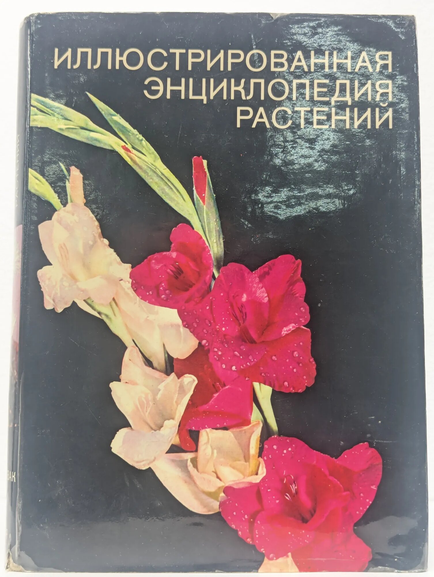 Иллюстрированная энциклопедия растений Новак Ф. А. 1985