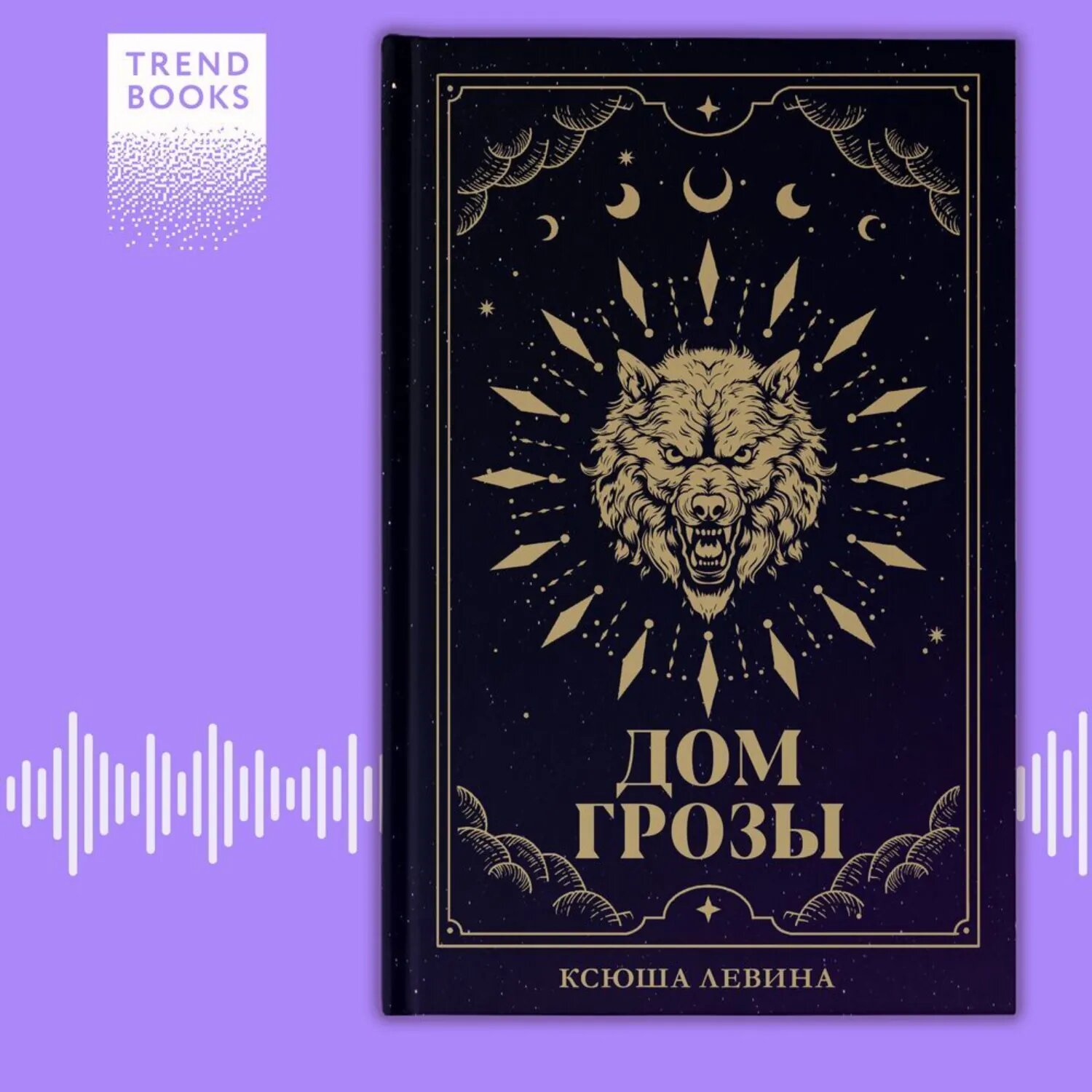 Дом грозы [Аудиокнига]