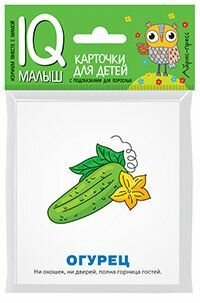 Книга "Умный малыш. Загадки. Набор карточек для детей."