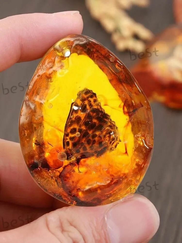 Ископаемые экземпляры янтарных насекомых, бабочка