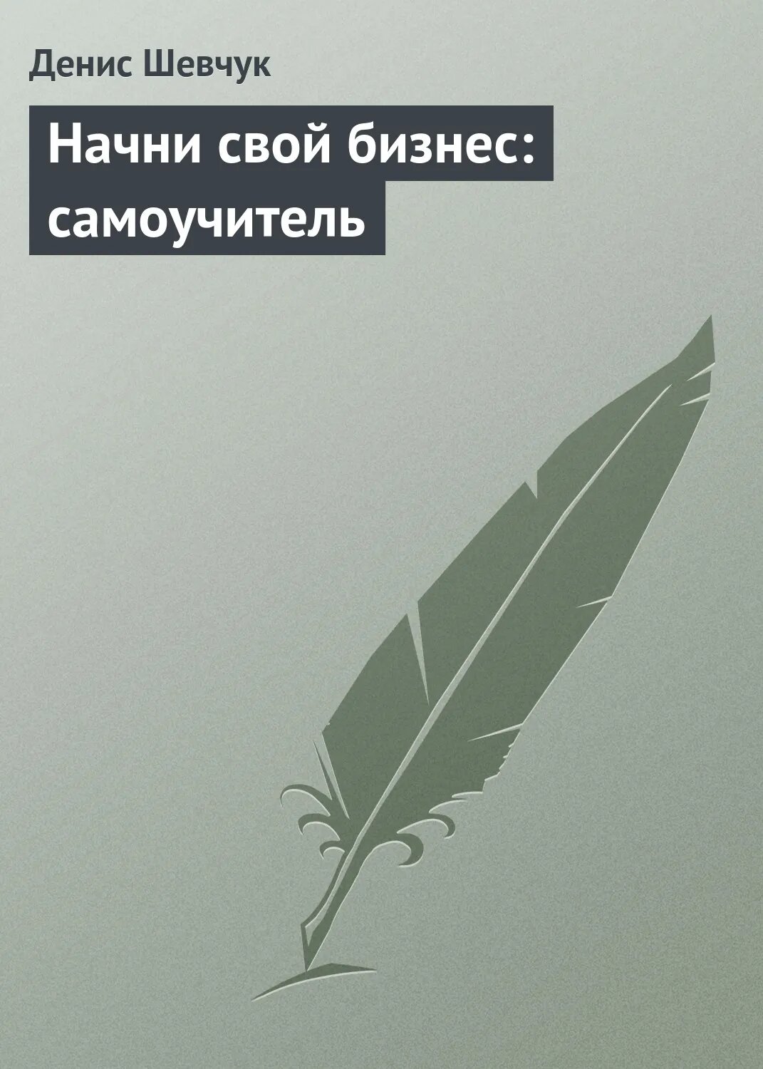 Начни свой бизнес: самоучитель [Цифровая книга]