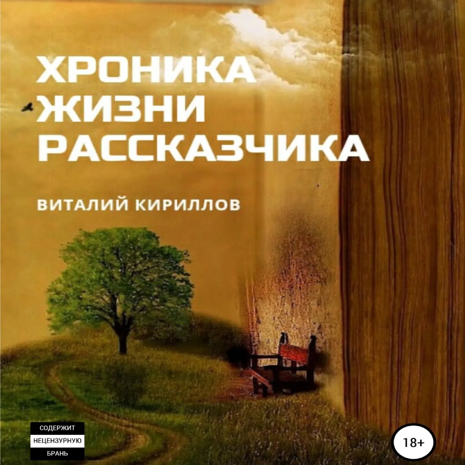 Хроника жизни рассказчика. Сборник рассказов [Аудиокнига]