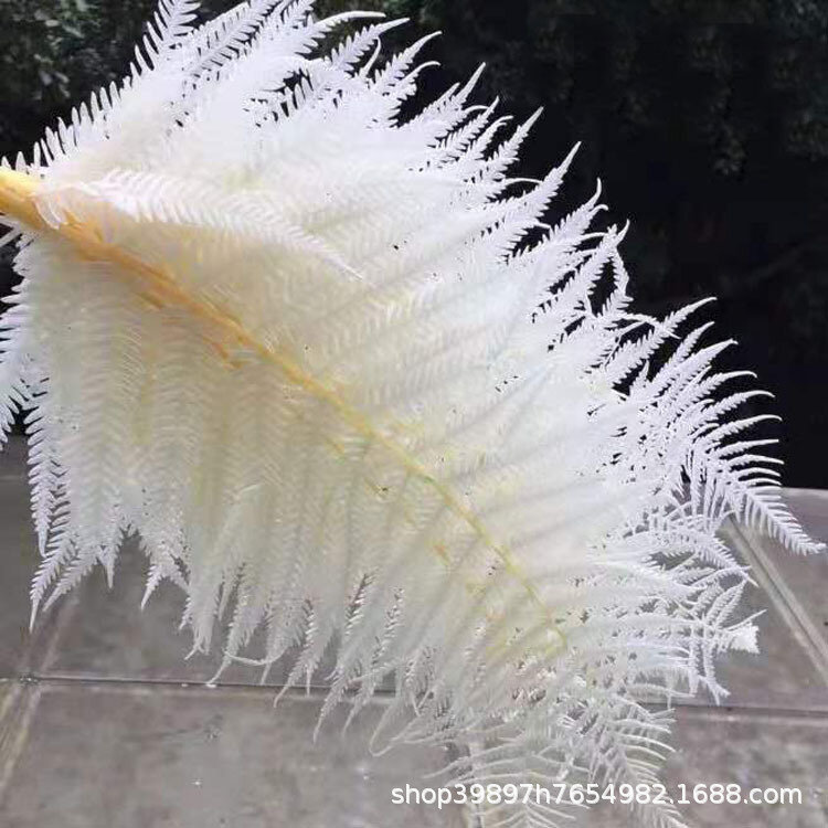 Вечные листья папоротника, материалы для DIY, вечные цветы, домашний декор, аксессуары для цветочных композиций, реквизит для фотографии