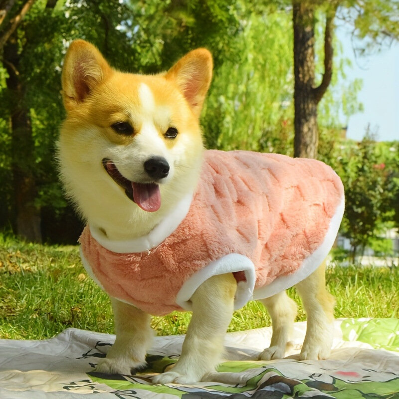 Одежда для собак Корги Бишон Зимнее теплое хлопковое пальто Плюшевая новая модель Одежда для золотистого ретривера Принадлежности для золотистого ретривера и кошек