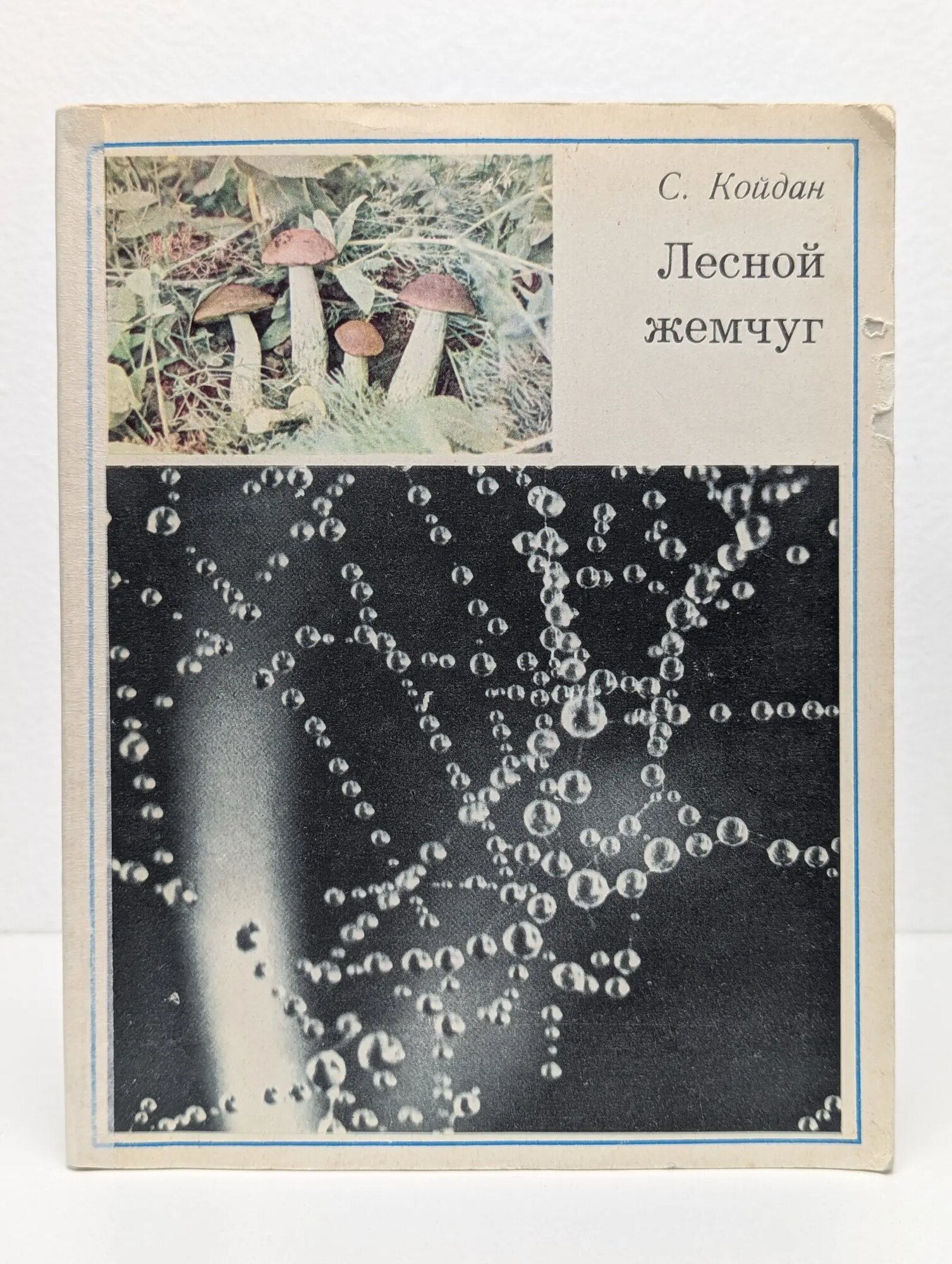 Лесной жемчуг Койдан Сергей Андреевич 1976