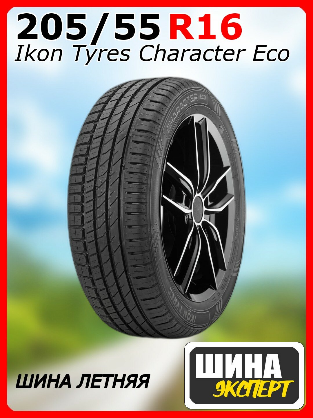 Шина летняя Ikon Tyres 205/55/16 H 91 Ikon Character Eco для легковых автомобилей T743183