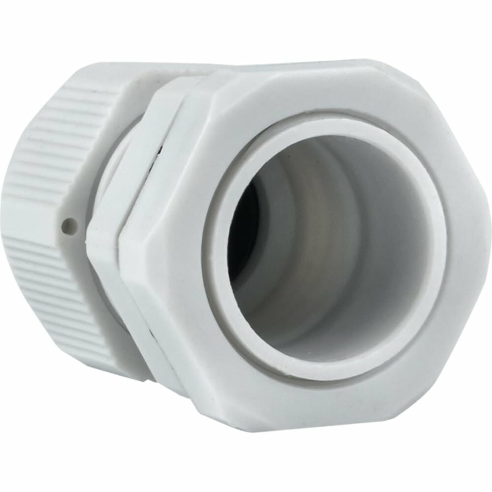 Сальник EKF PG21 IP54 (2 шт) d отверстия 28 мм / d проводника 13-18 мм PROxima plc-pg-21-2-r