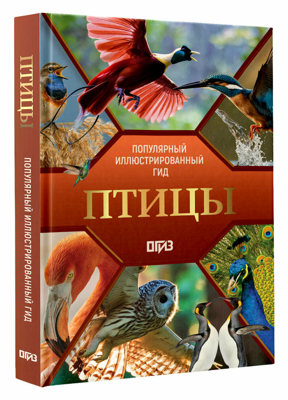Птицы. Иллюстрированный гид Анна Спектор книга от издательства АСТ