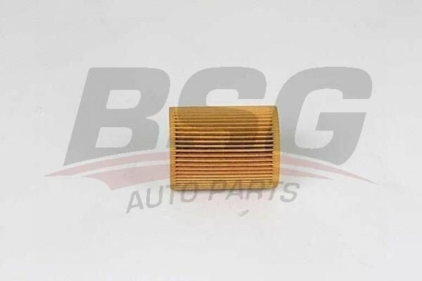Фильтр масляный BSG BSG15-140-004 BMW F20-F20 LCI-F21-F21 LCI-F30-F30 LCI-F31-F35-F35 LCI 10-18