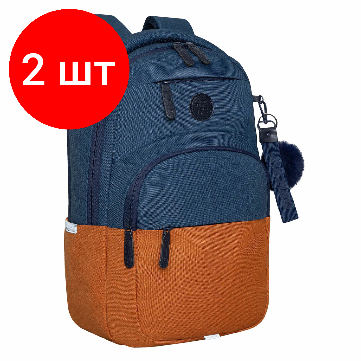 Комплект 2 шт, Рюкзак GRIZZLY школьный, укрепленная спинка, 2 отделения, для девочек, BLUE/ORANGE, 43х27.5х16 см, RD-341-2/3