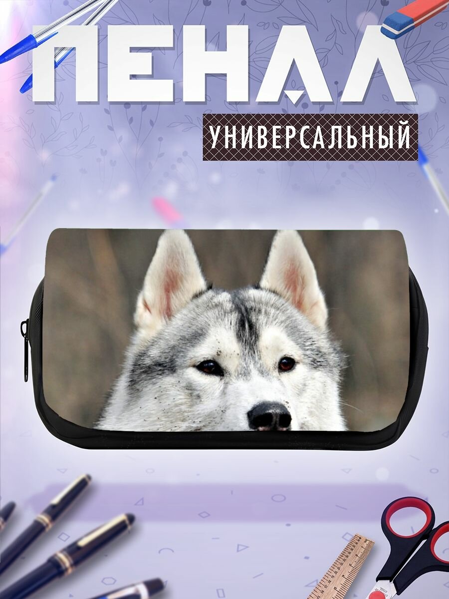 Школьный пенал аляскинский маламут щенок