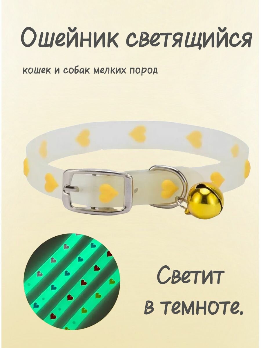 Ошейник светящийся для кошек и собак мелких пород