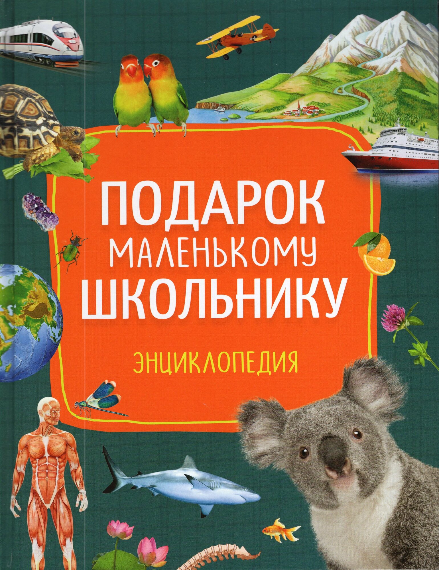 Книга "Подарок маленькому школьнику. Энциклопедия", автор Артюхова И. С, издательство РОСМЭН