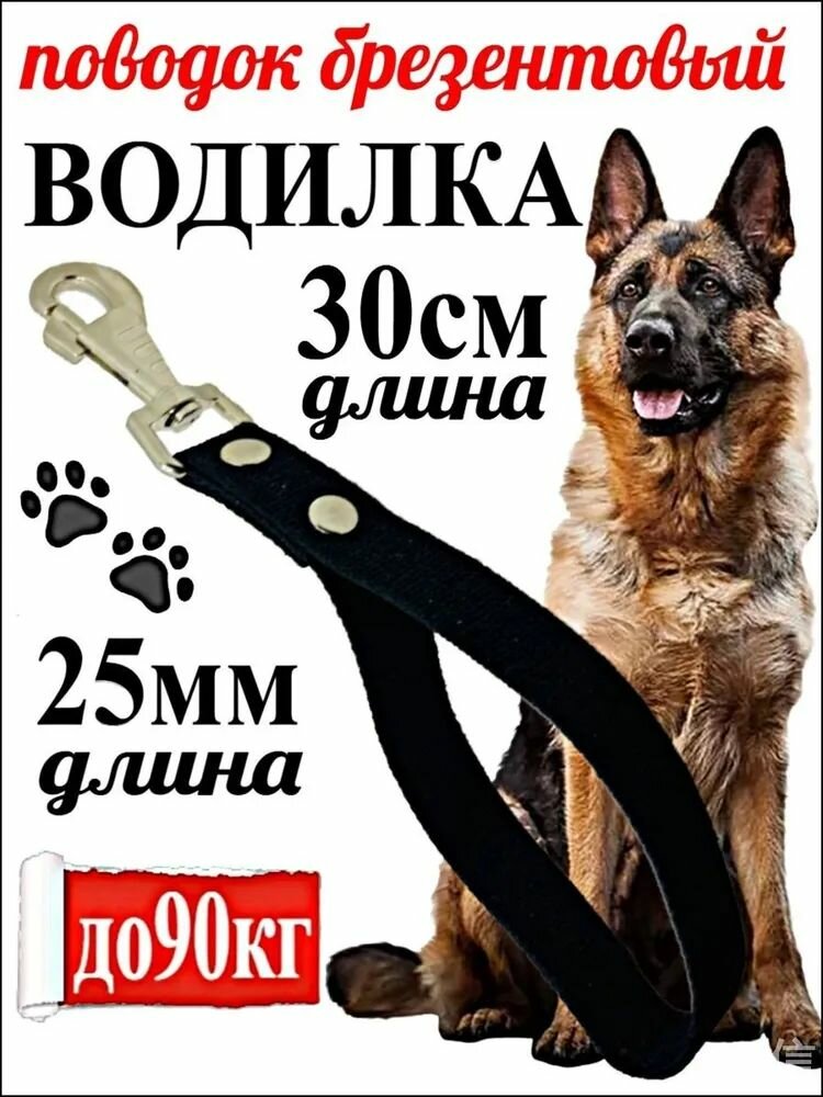 Поводок