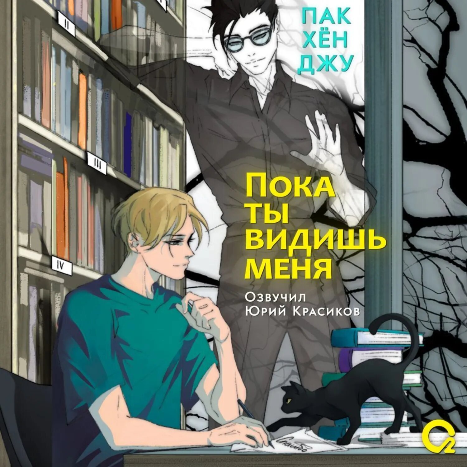 Пока ты видишь меня [Аудиокнига]