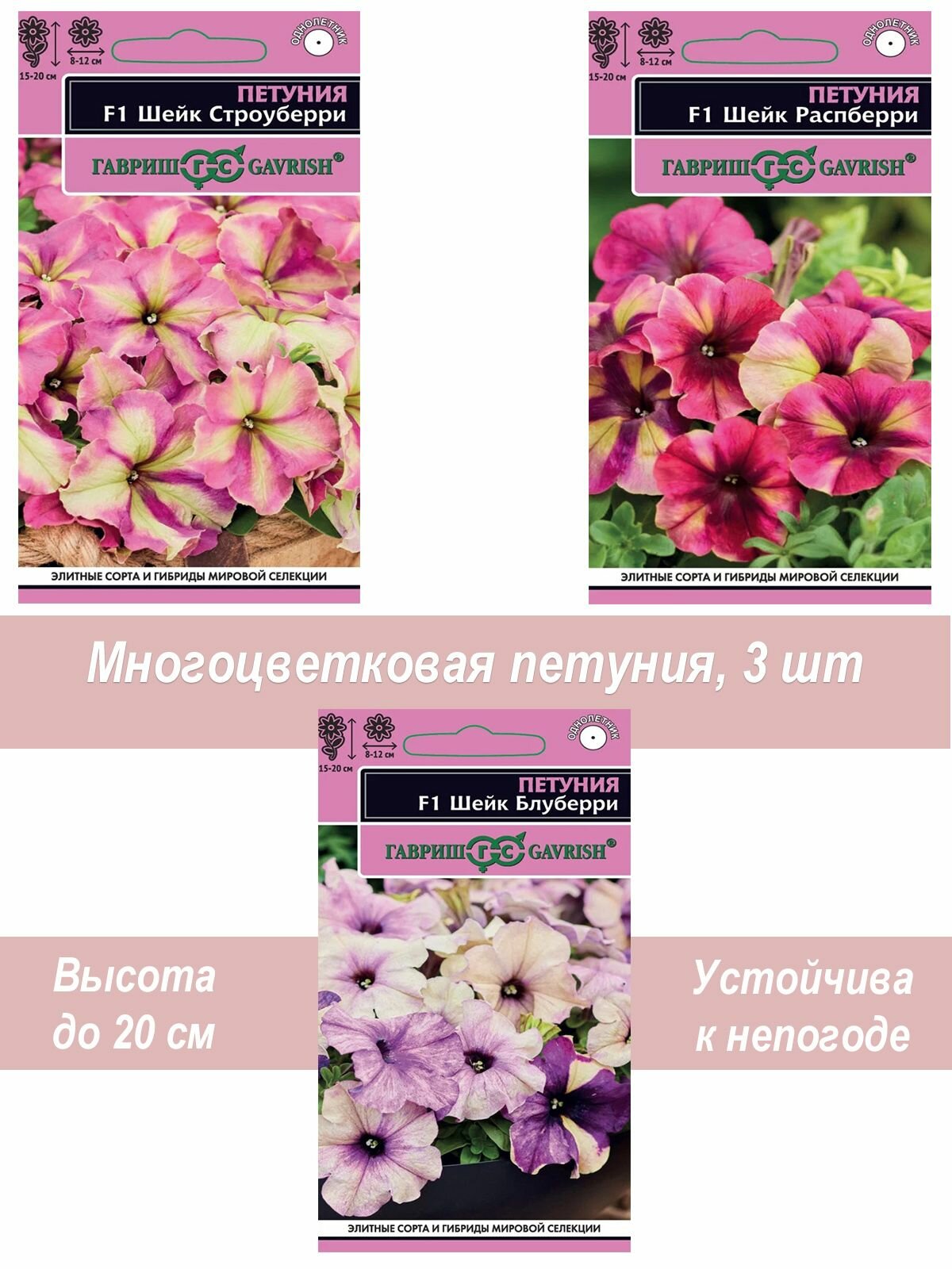 Петуния Шейк