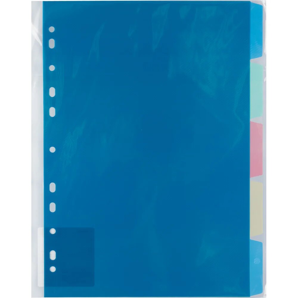 Разделители Expert Complete 703792, A4, пластиковые, ассорти, 5 шт.