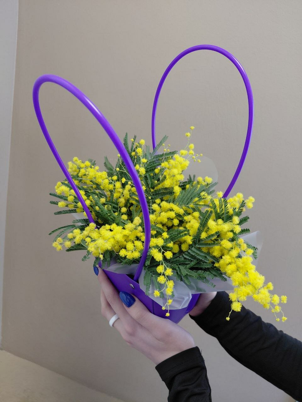 Мимоза в сумочке