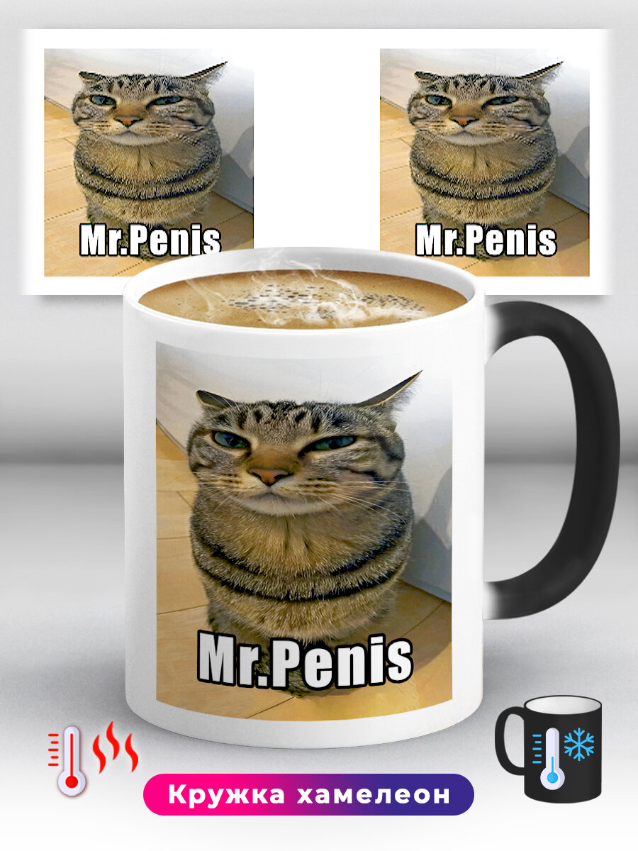 Кружка хамелеон с приколом мем Кот Котик Мистер Пе Mr. Pe