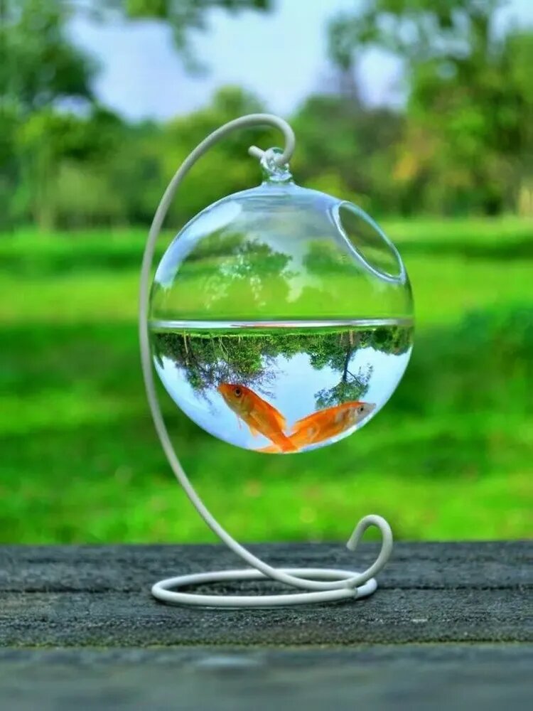 Подвесной стеклянный аквариум для рыб, Белая скобка