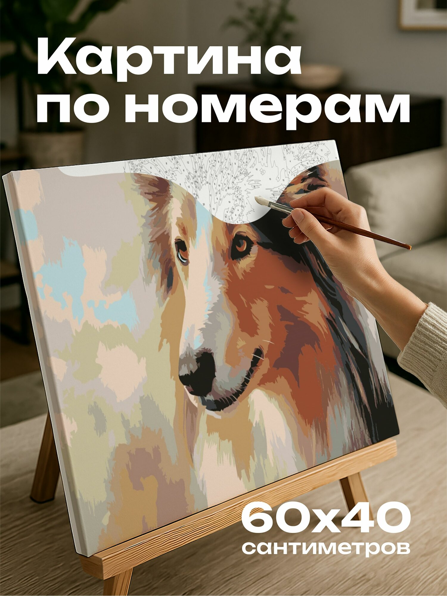 Картина по номерам 60x40 см, колли, масляная картина, нежные мазки, выразительные глаза, романтическая атмосфера