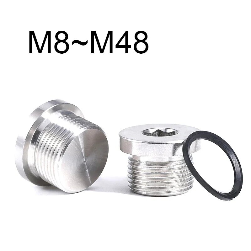 Шестигранная заглушка с уплотнительным кольцом M8~M48 M8x1.25-1PCS, Without ED ring