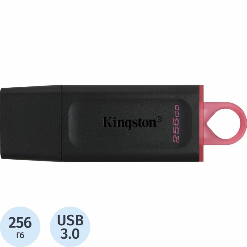 Флеш-память Kingston DataTraveler Exodia, USB 3.2 G1, роз/чер, DTX/256GB