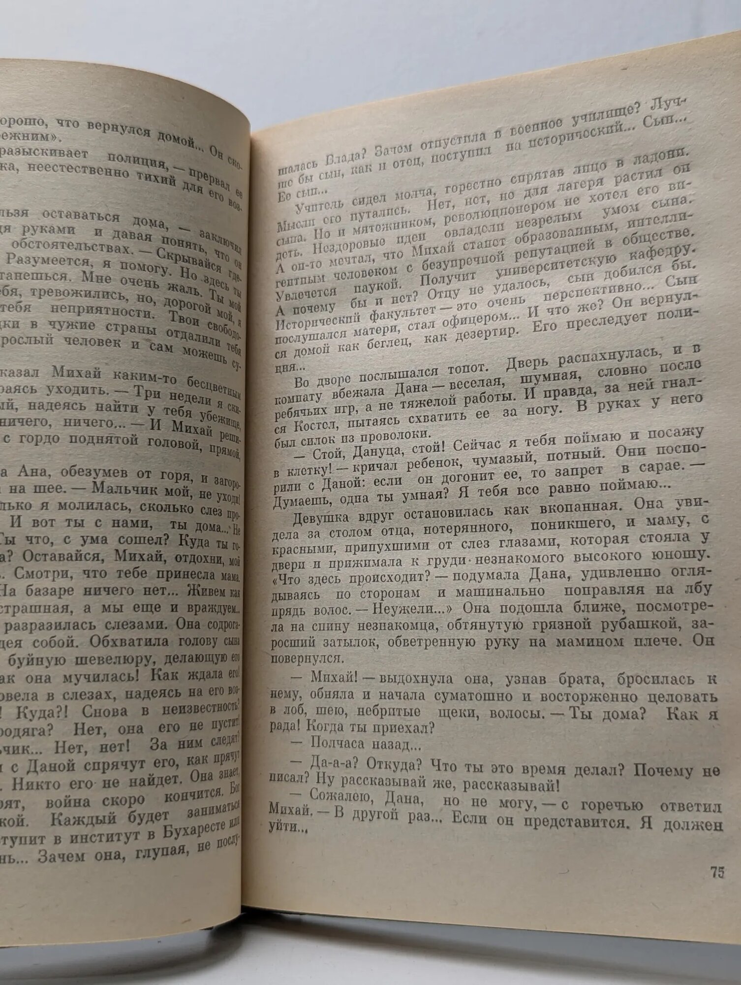 У ворот Северина Греча Ион 1982 — фото 1