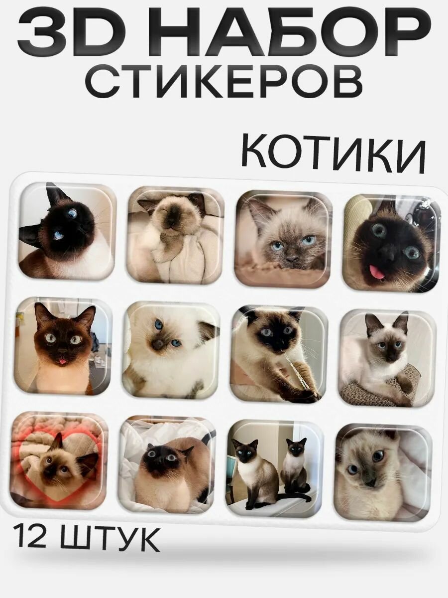3D стикеры на телефон котики