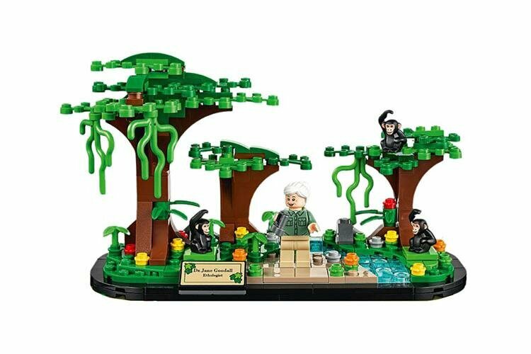 Конструктор унисекс LEGO Classic Трибьют Джейн Гудолл, 40530, 300 деталей, обучающий набор, для творчества